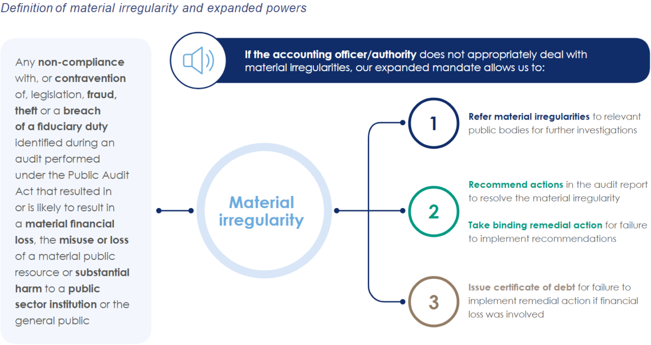 MIs explained | Consolidated general report on national and provincial ...